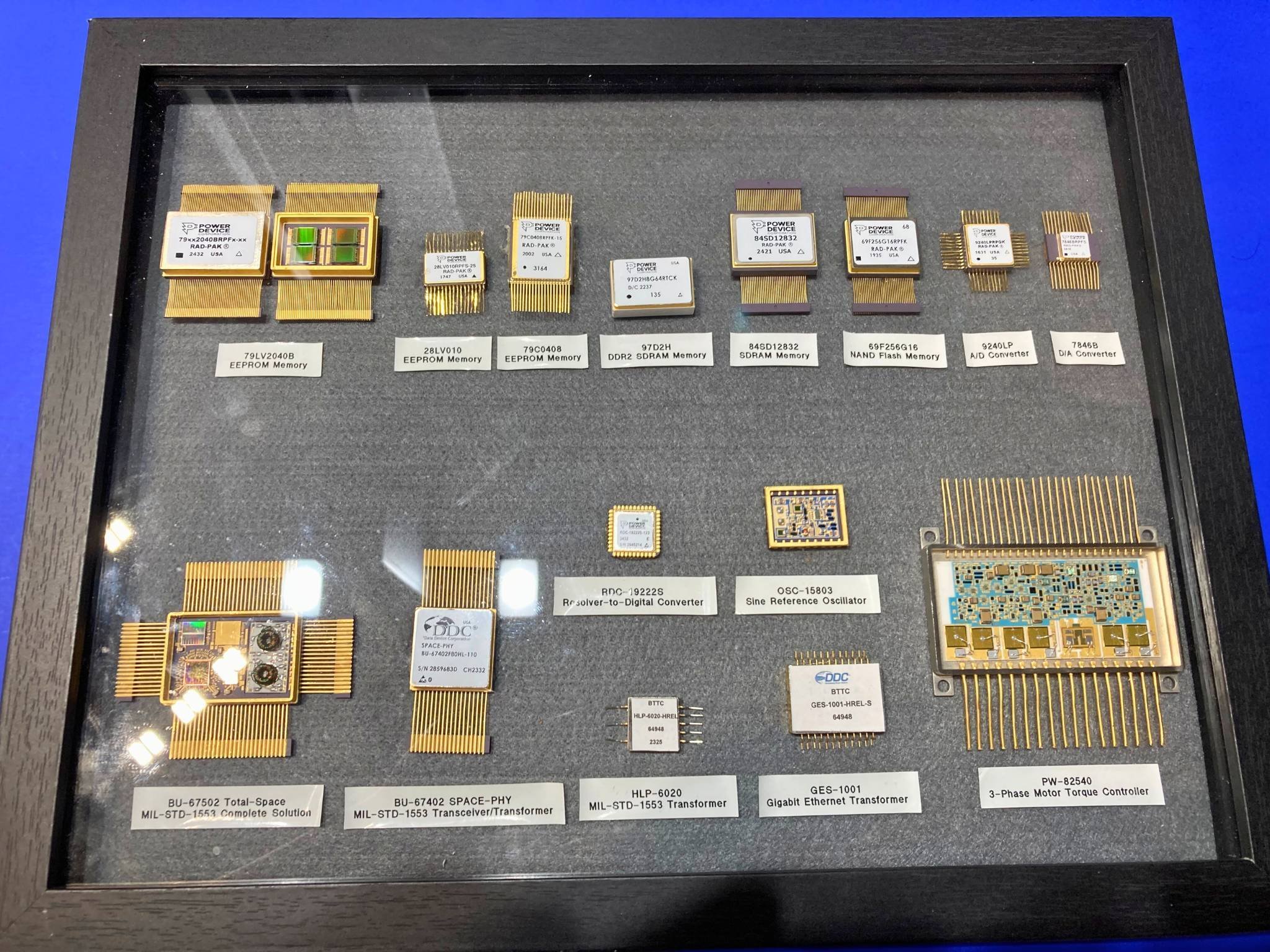 SPEXA 2025 ギャラリー